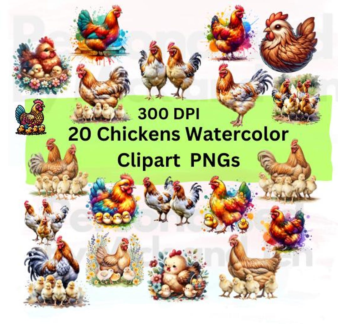20 Chickens Watercolor Cliparts Pngs 300 DPI - Etsy