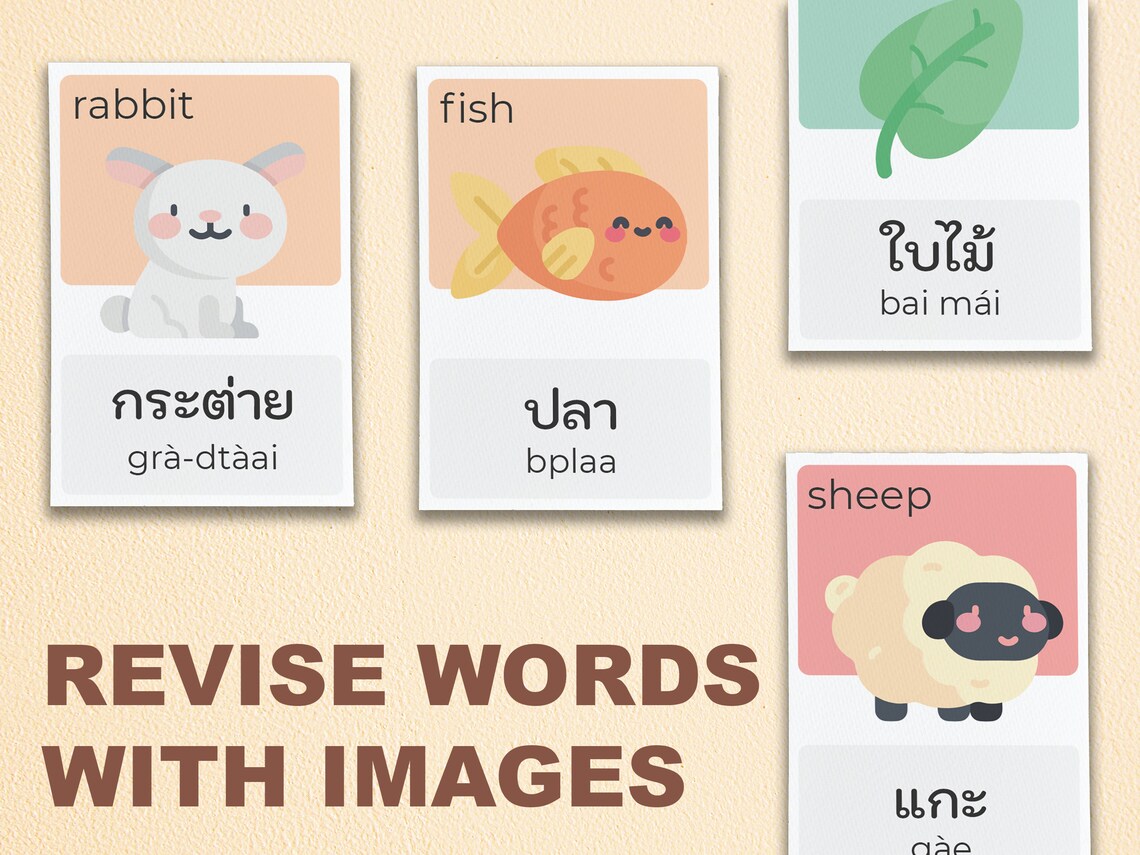 Thai Printable Three-part Flashcard Animal and Nature Set 40 - Etsy