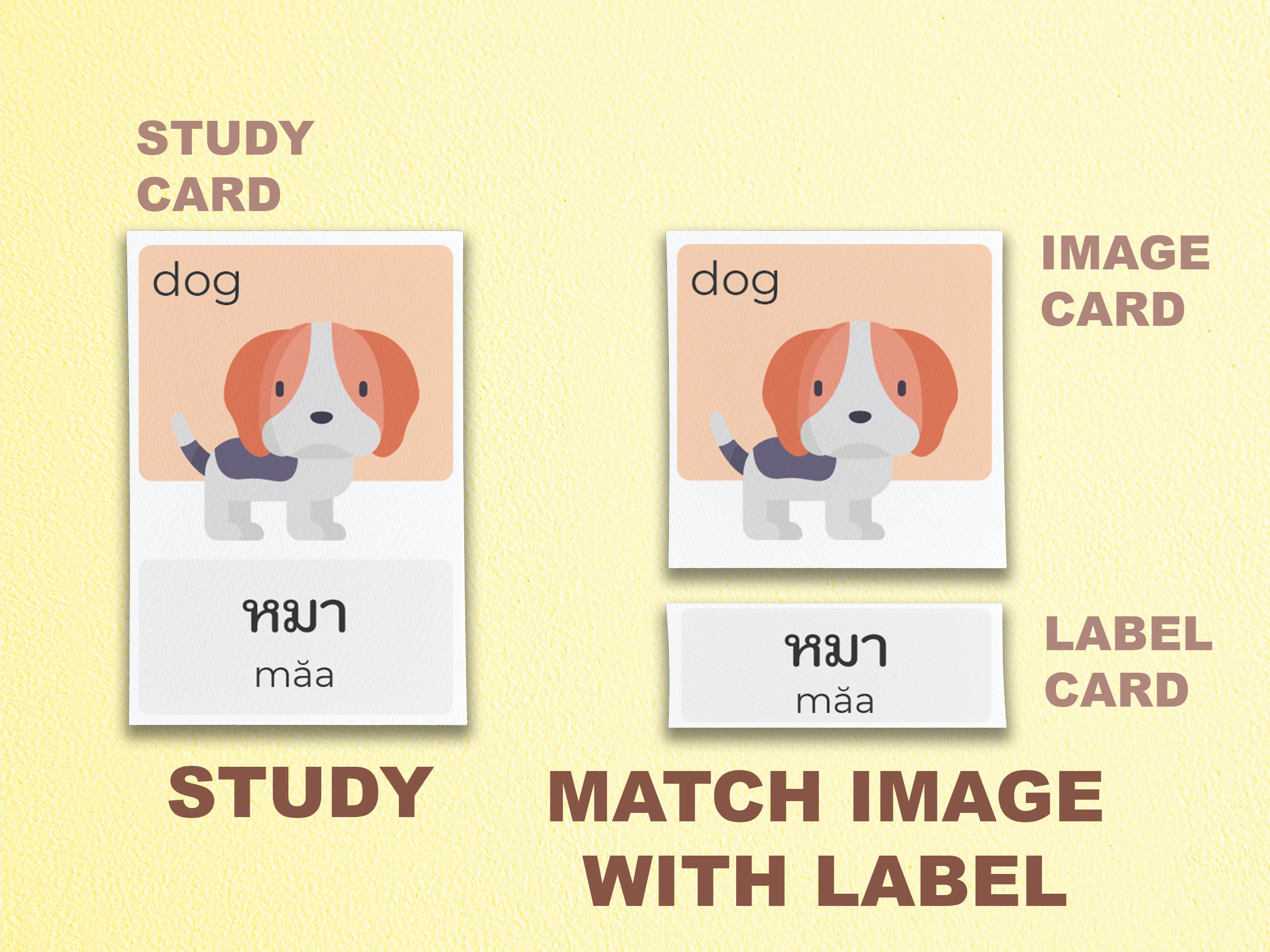 Thai Printable Three-part Flashcard, Animal and Nature Set, 40 Thai ...