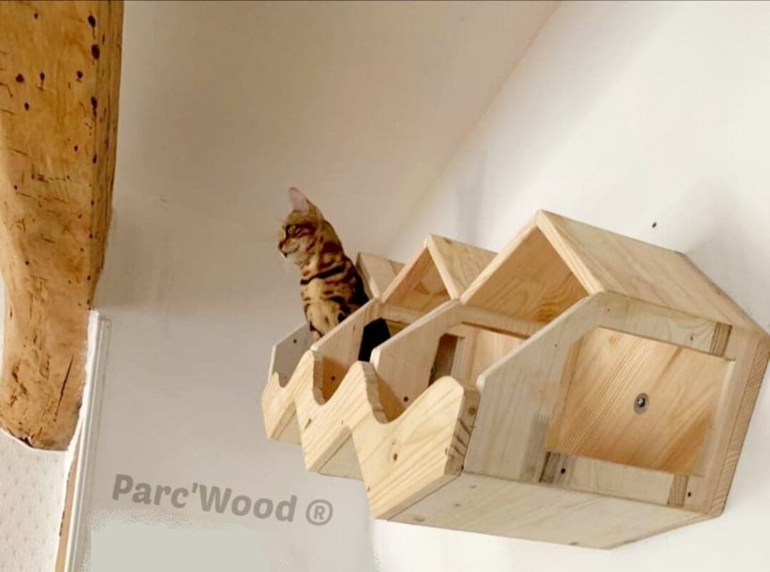 Triple Hexagonal Wooden Wall Module for Cats - Etsy