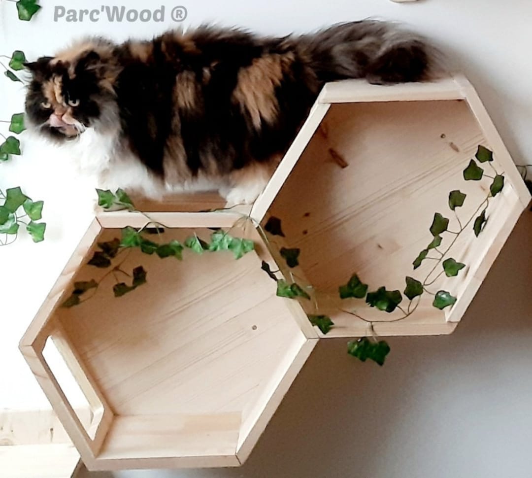 Double Hexagonal Wooden Wall Module for Cats - Etsy