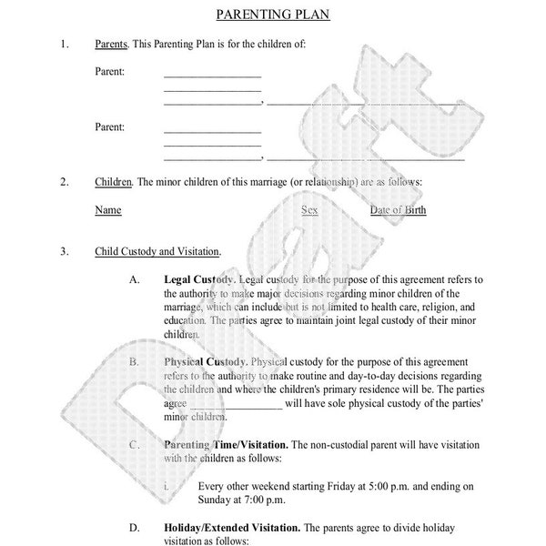 Legal Custody Form Template - Etsy
