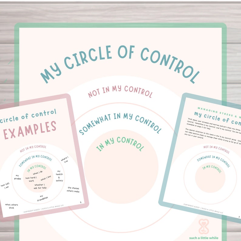 Circle of Control for Kids Printable Template & Activities | Sphere of ...