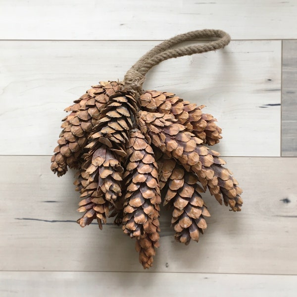 Natural Pine Cones - Etsy