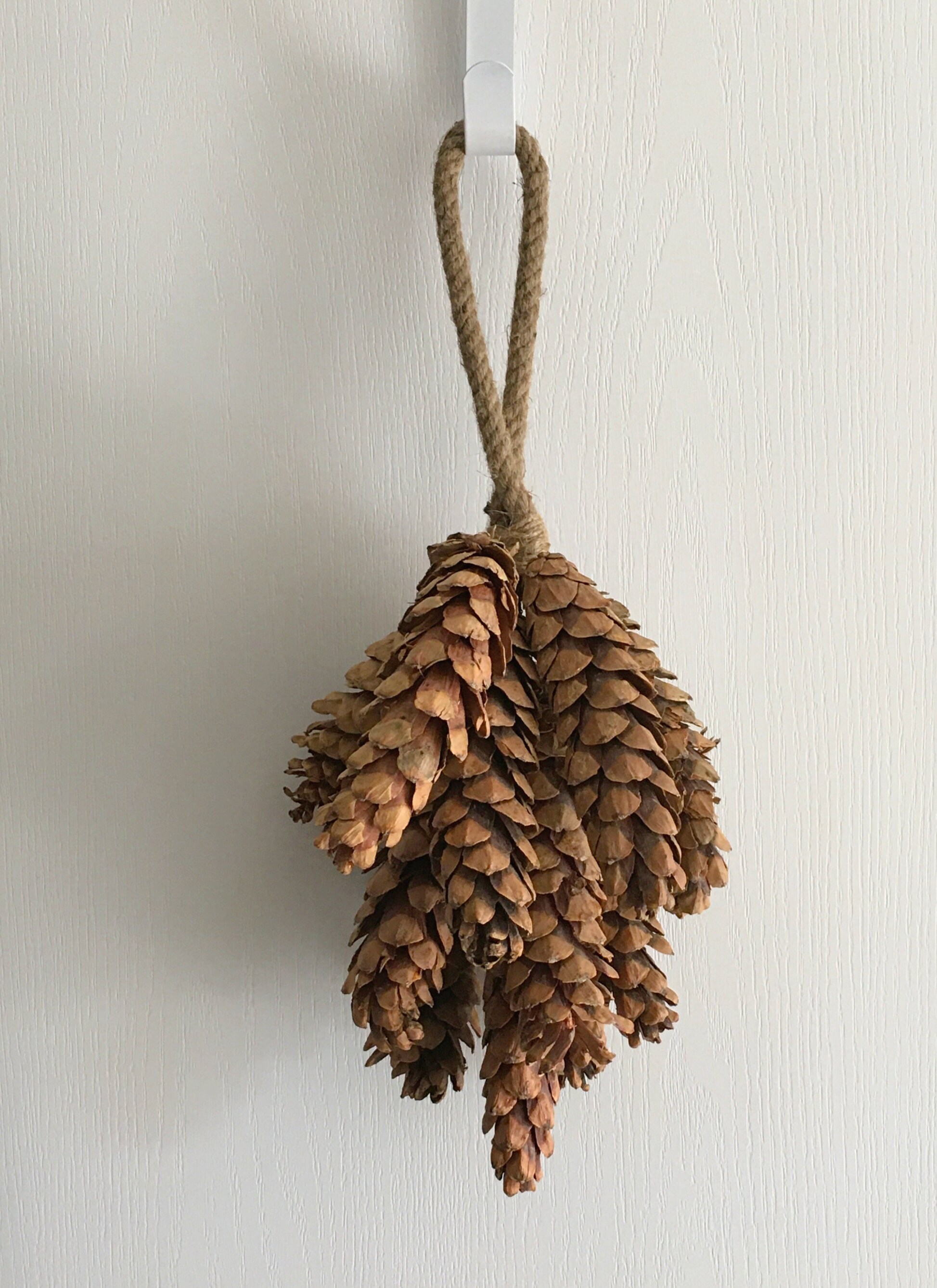 Strobes Pine Cone Hanger Cluster of Natural Pine Cones With a - Etsy Canada