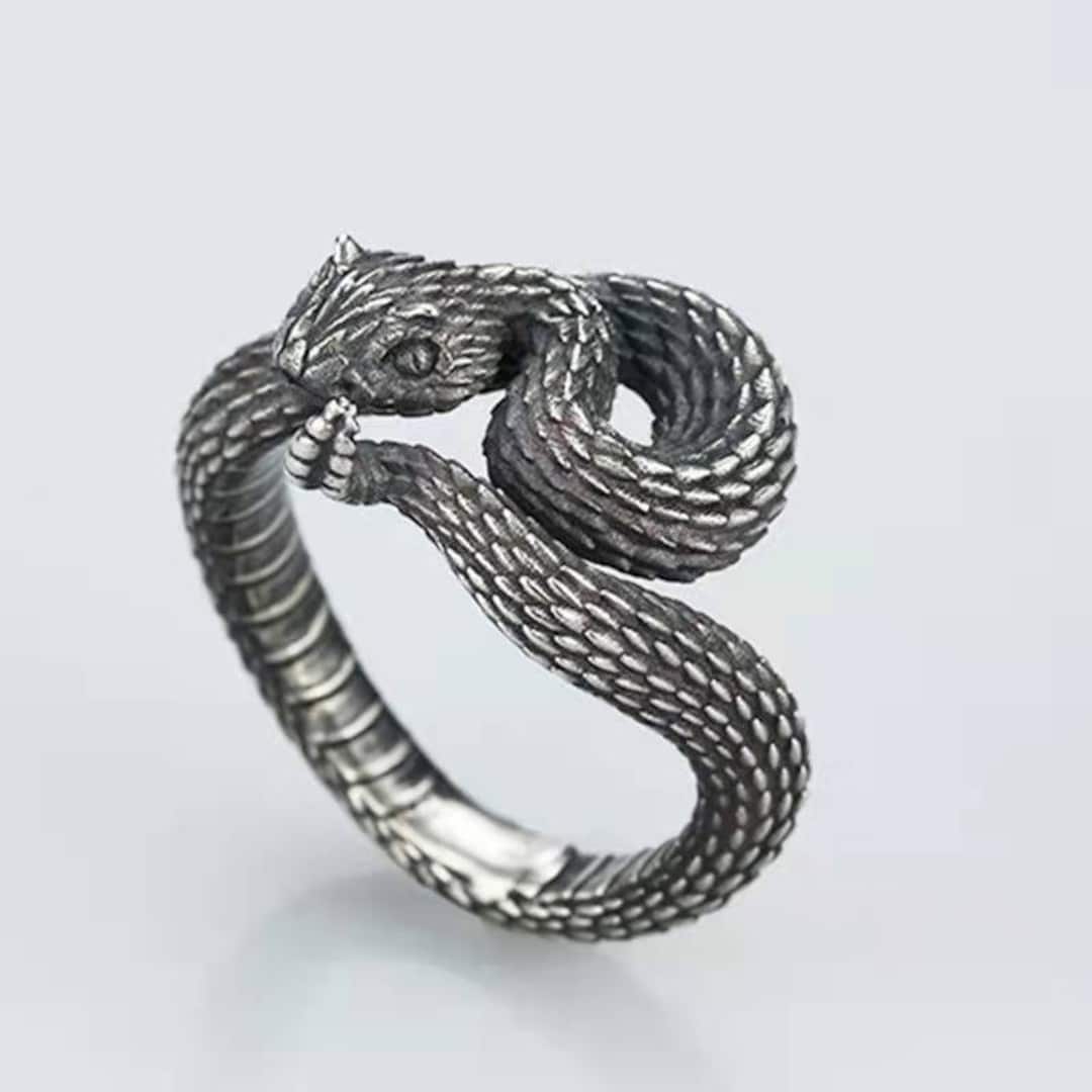Serpent Ring Silver Snake Ring Men Snake Jewelry Punk Ring - Etsy