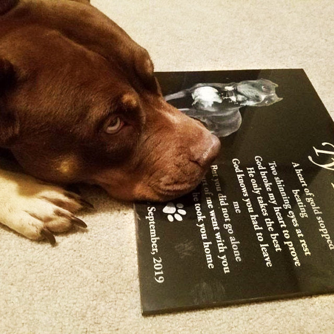 Beautiful 12x9 Pet Grave Decoration Engraved With the Picture of Your ...