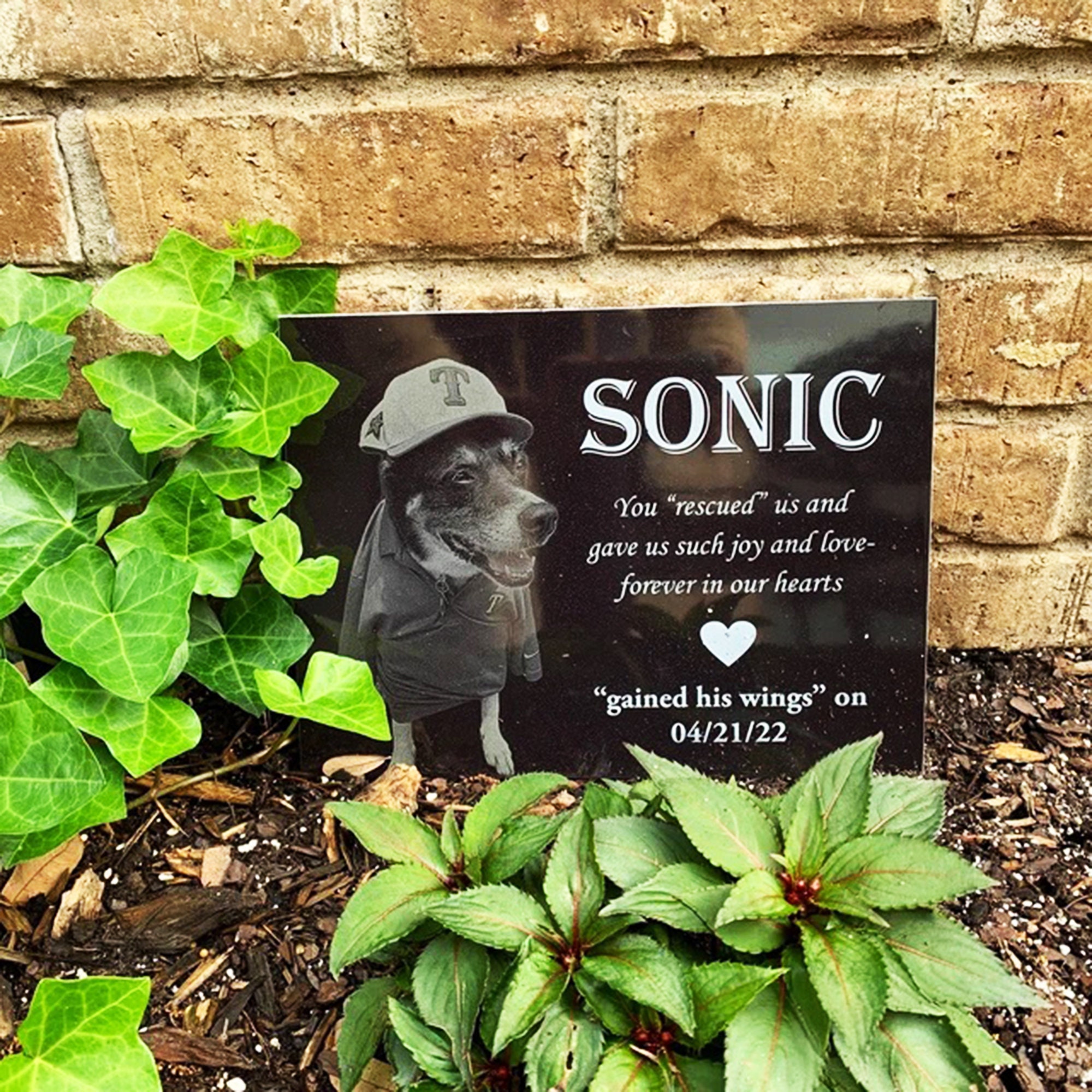Beautiful 12x9 Pet Grave Decoration Engraved With the Picture of Your ...
