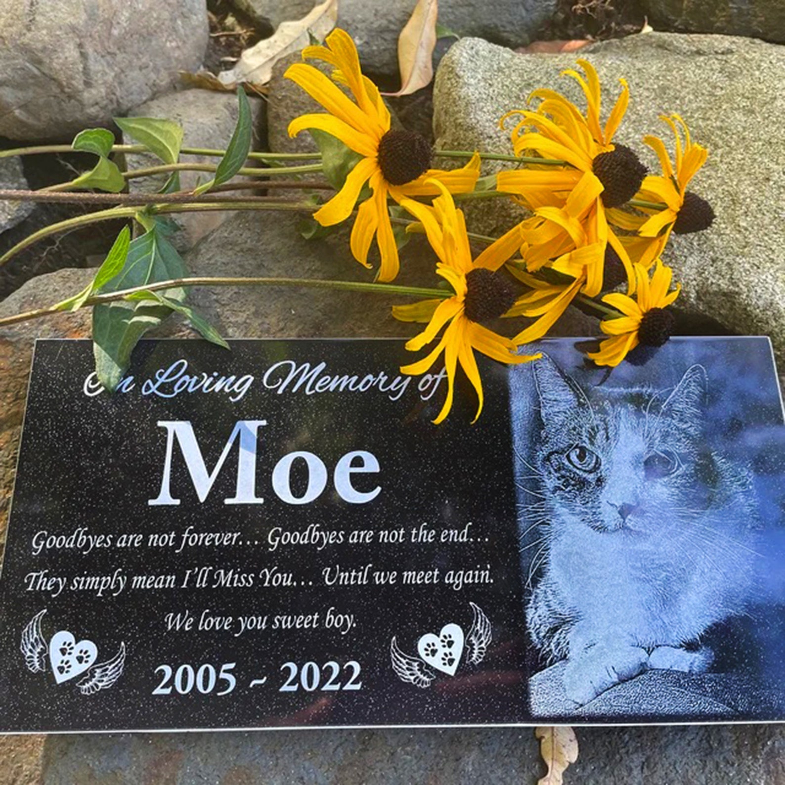 Beautiful 12x6 Pet Grave Decoration Engraved With the Picture of Your ...