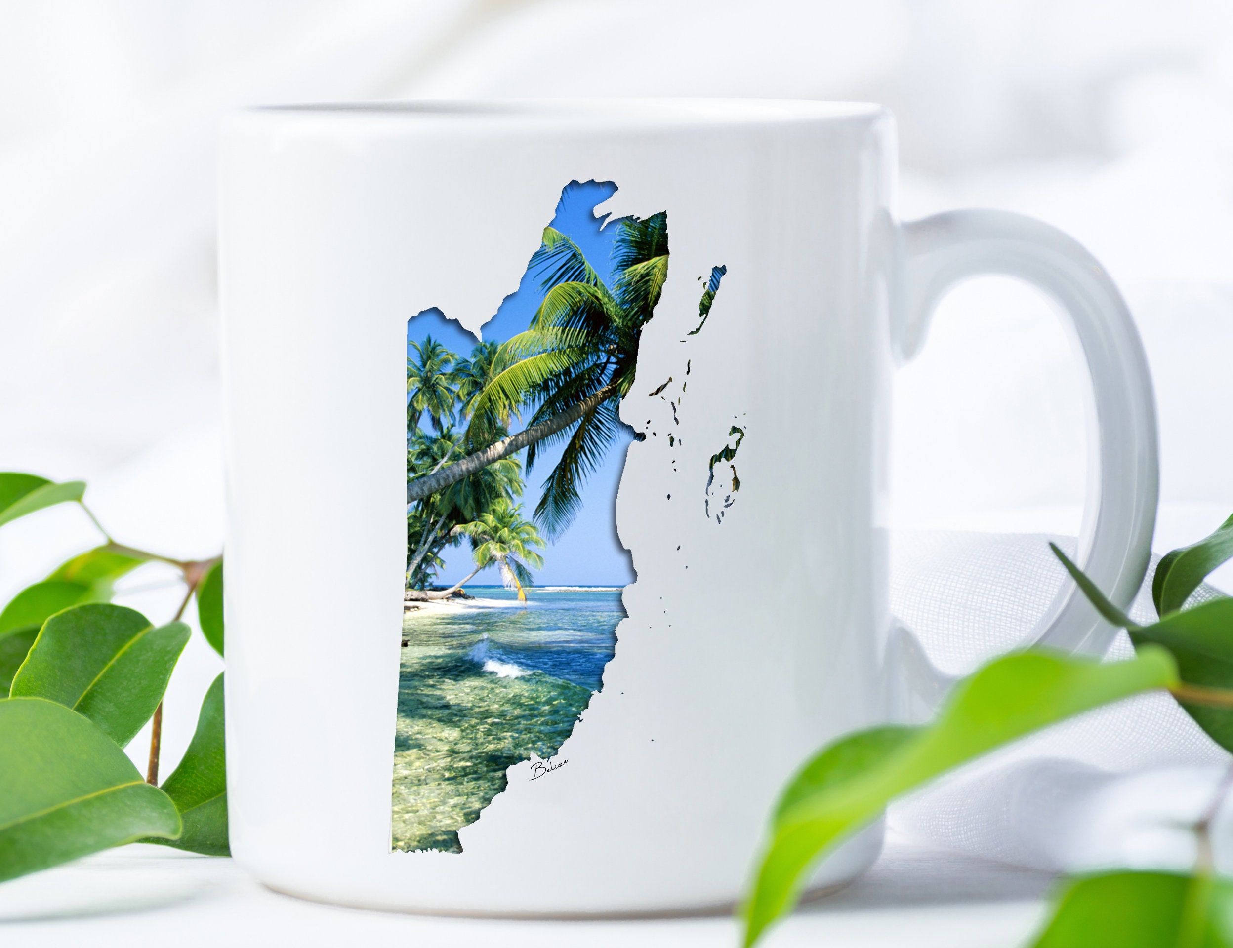 Caribbean Wall Art | Belize Map Print | Tropical Rainforest Home Decor ...