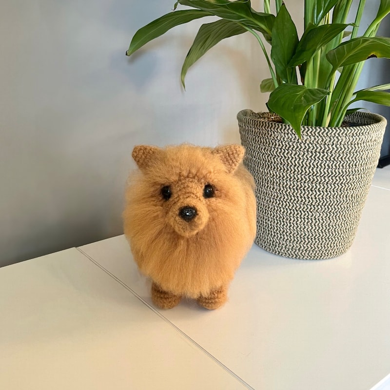 Pomeranian Patterns - Etsy
