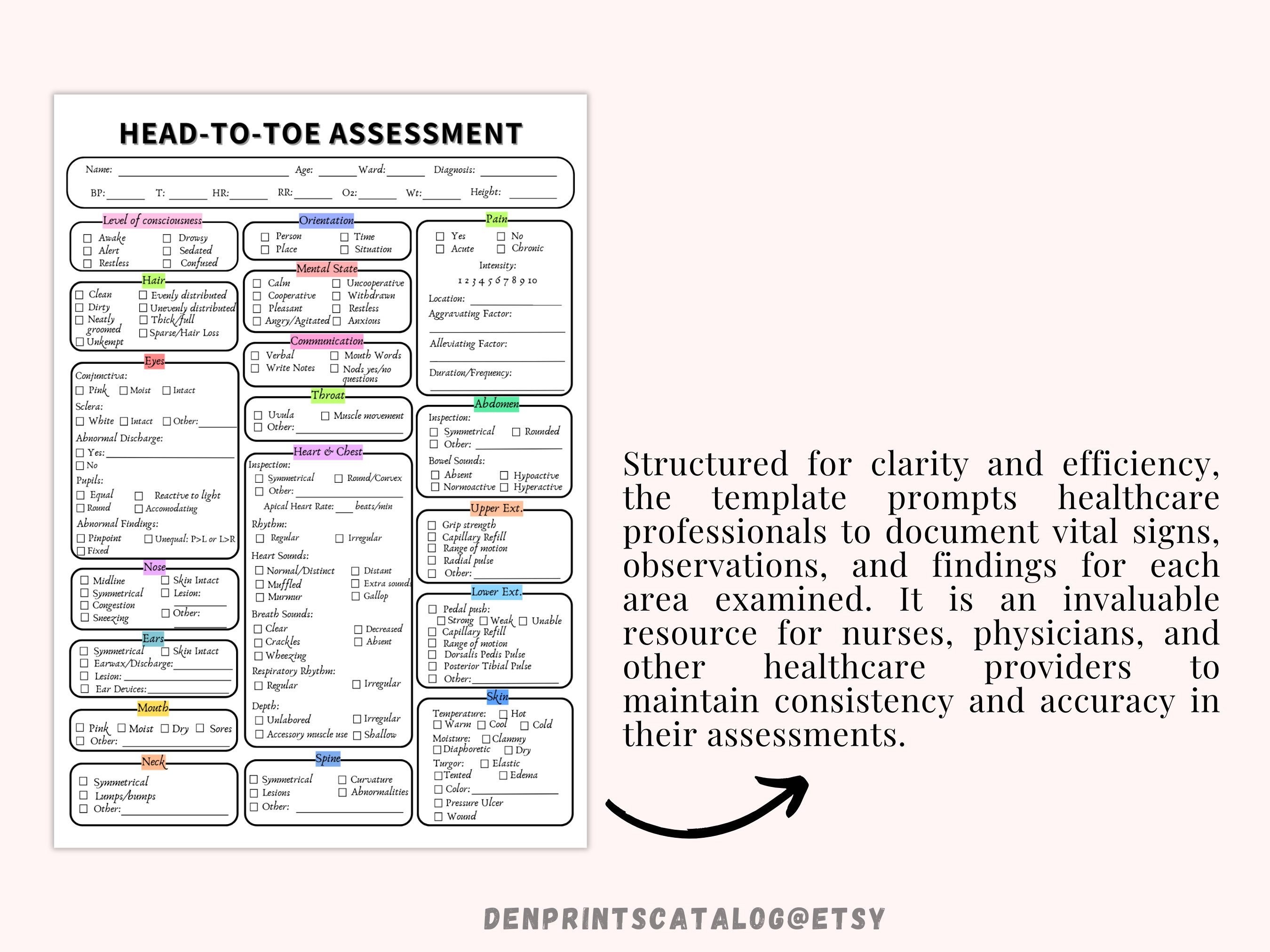 Head-to-toe Assessment Template With Cranial Nerves Assessment, Step-by ...