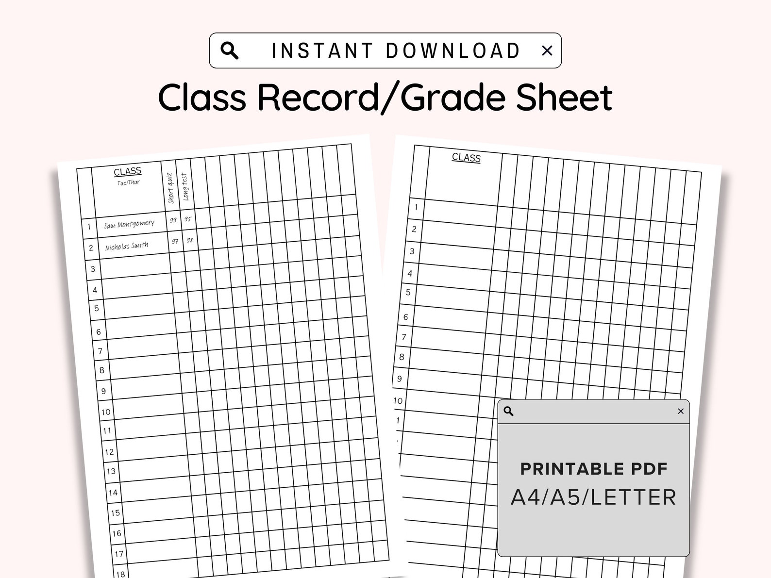 Printable Class Record, Gradebook Template, Teacher Grade Book ...