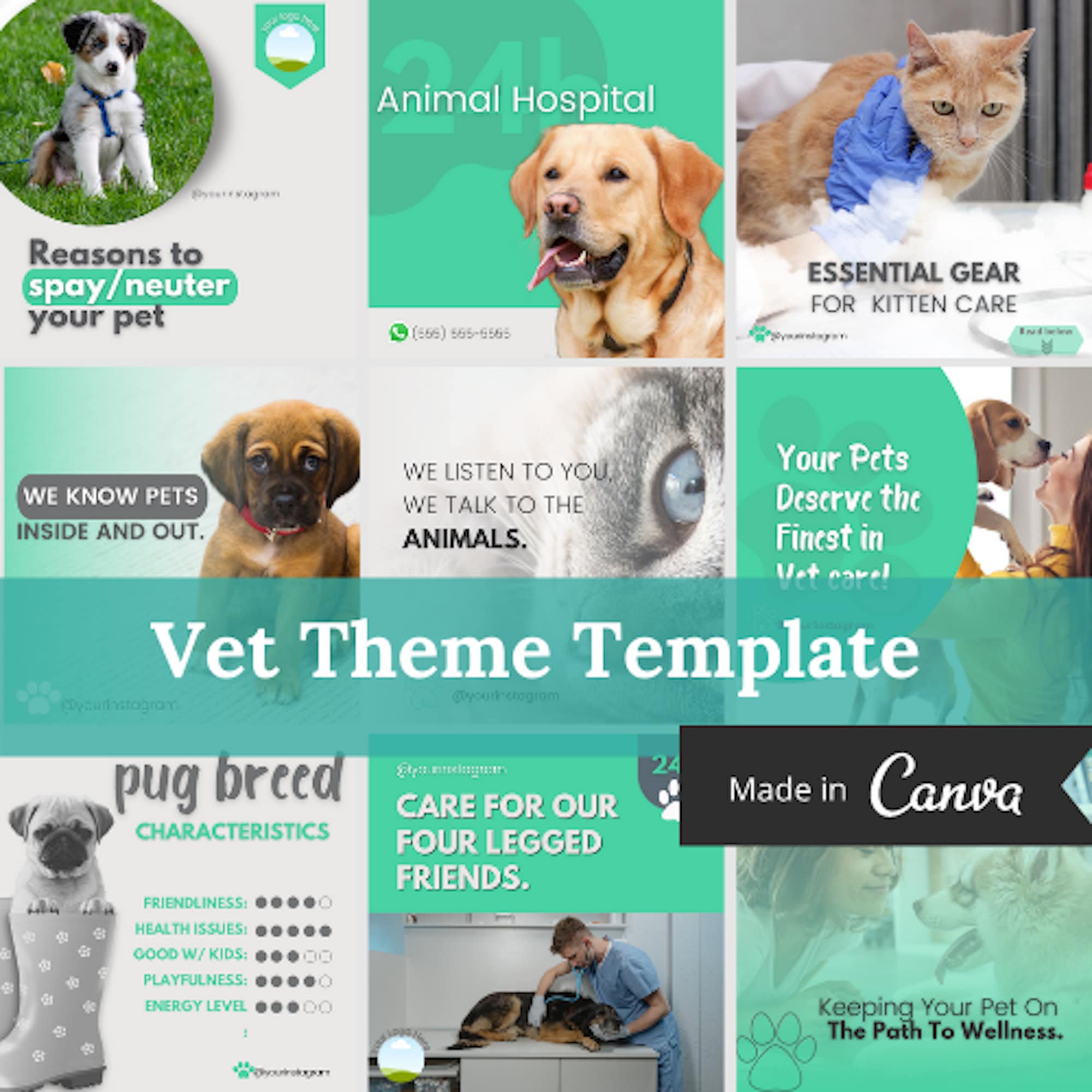 VET Instagram Template - Etsy