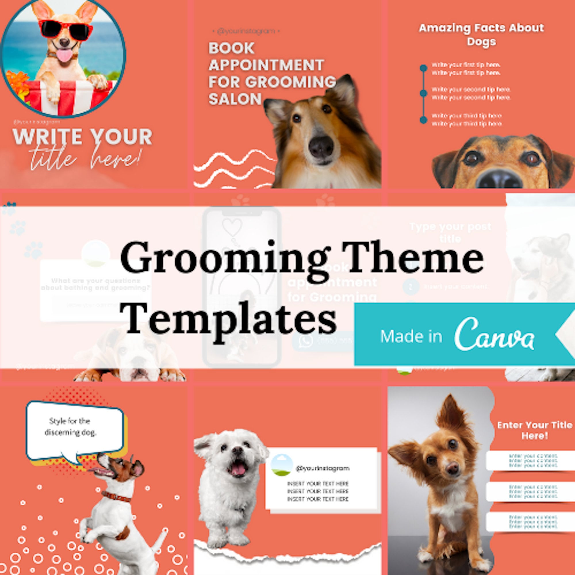 Grooming Instagram Template - Etsy