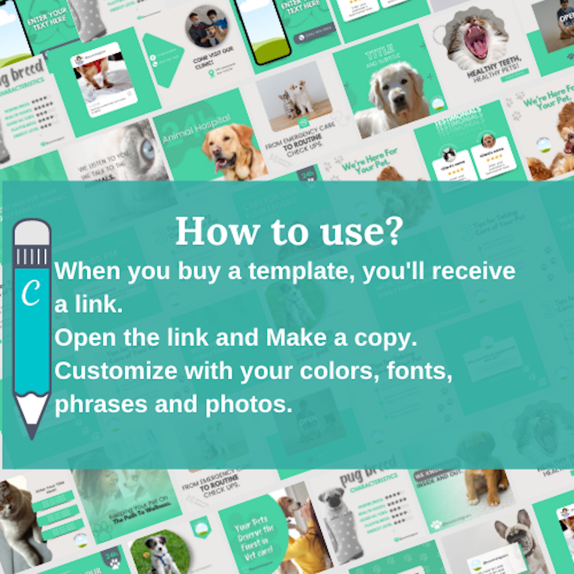 VET Instagram Template - Etsy