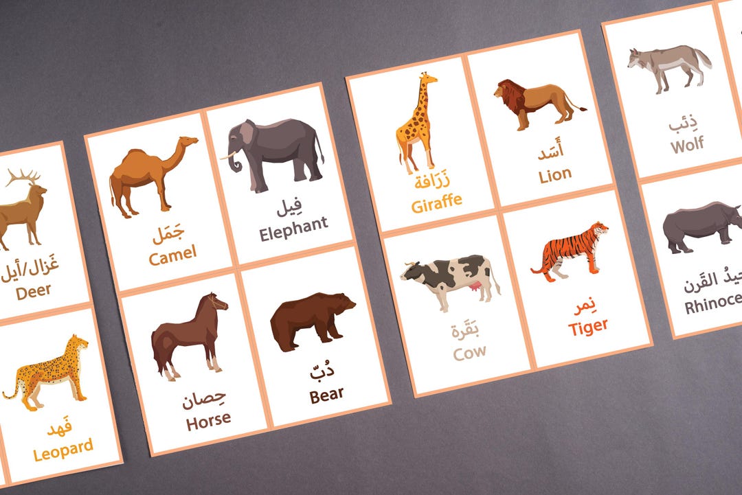 Arabic–english Animal Flashcards | Printable Learning Cards for Kids - Etsy