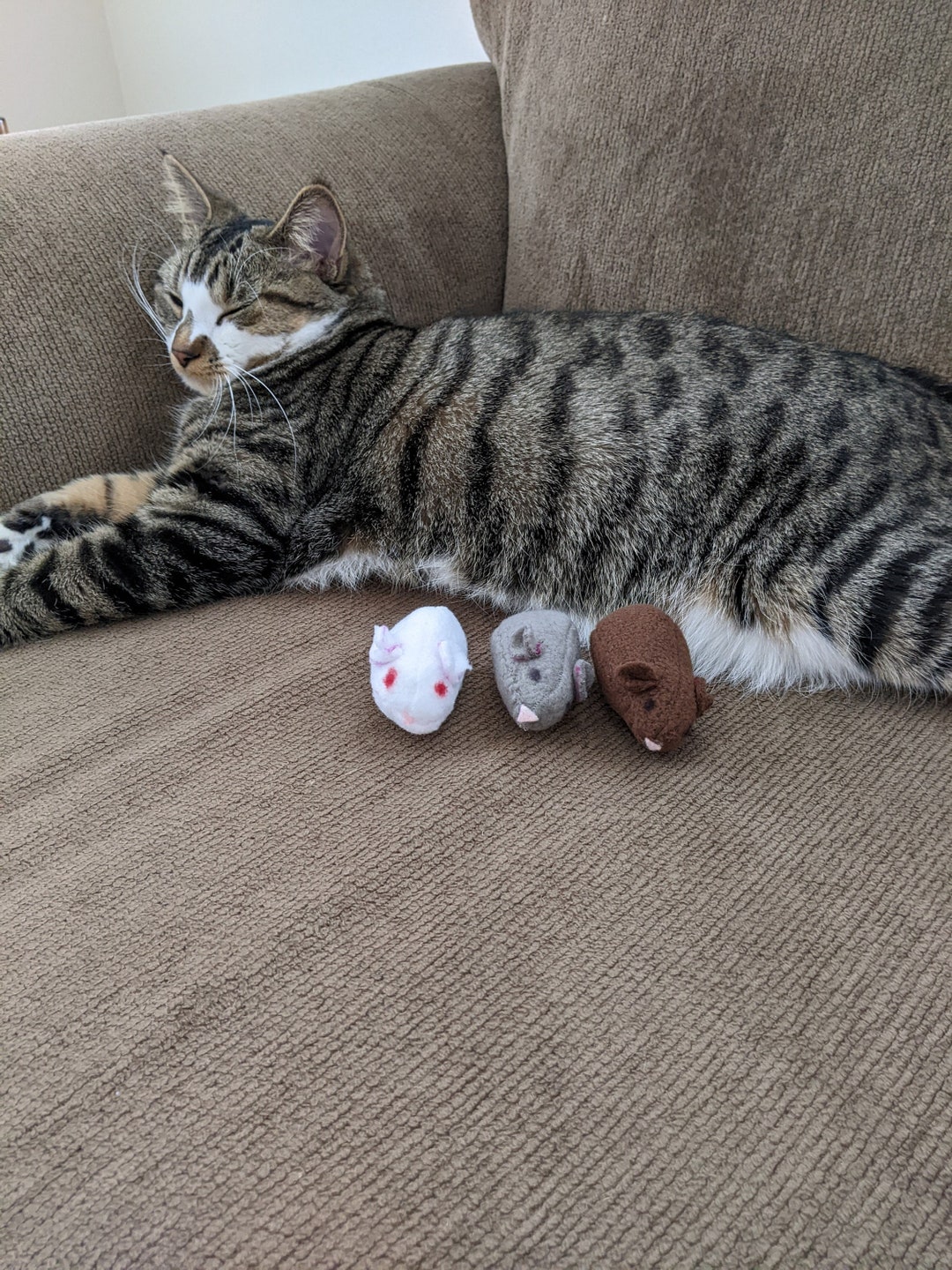Realistic Mouse Cat Toy - Etsy