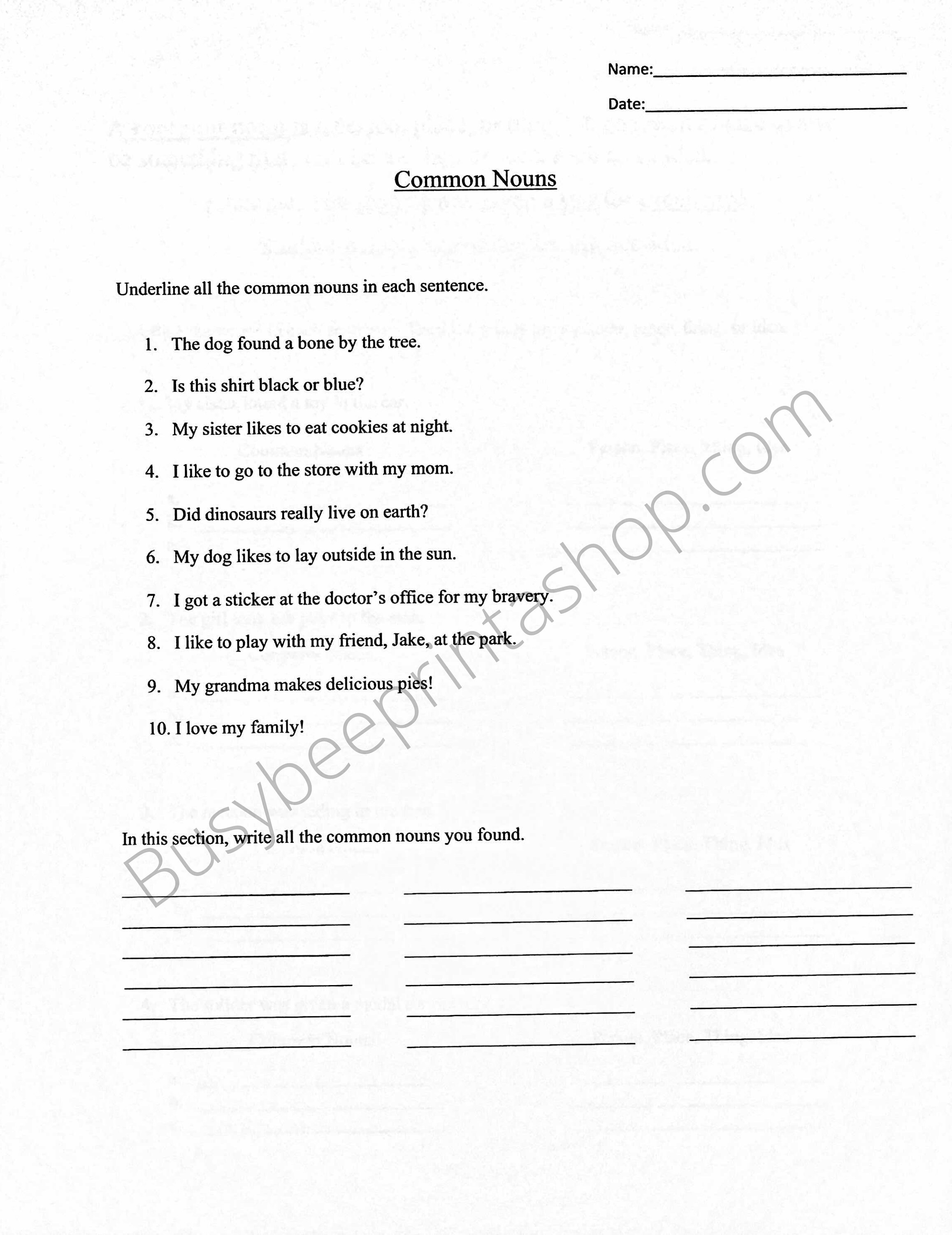 2 Sheets. Common Noun Worksheets. - Etsy