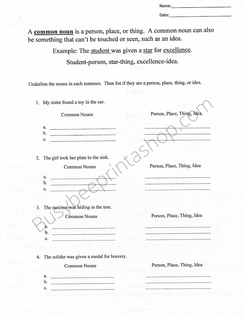 2 Sheets. Common Noun Worksheets. - Etsy