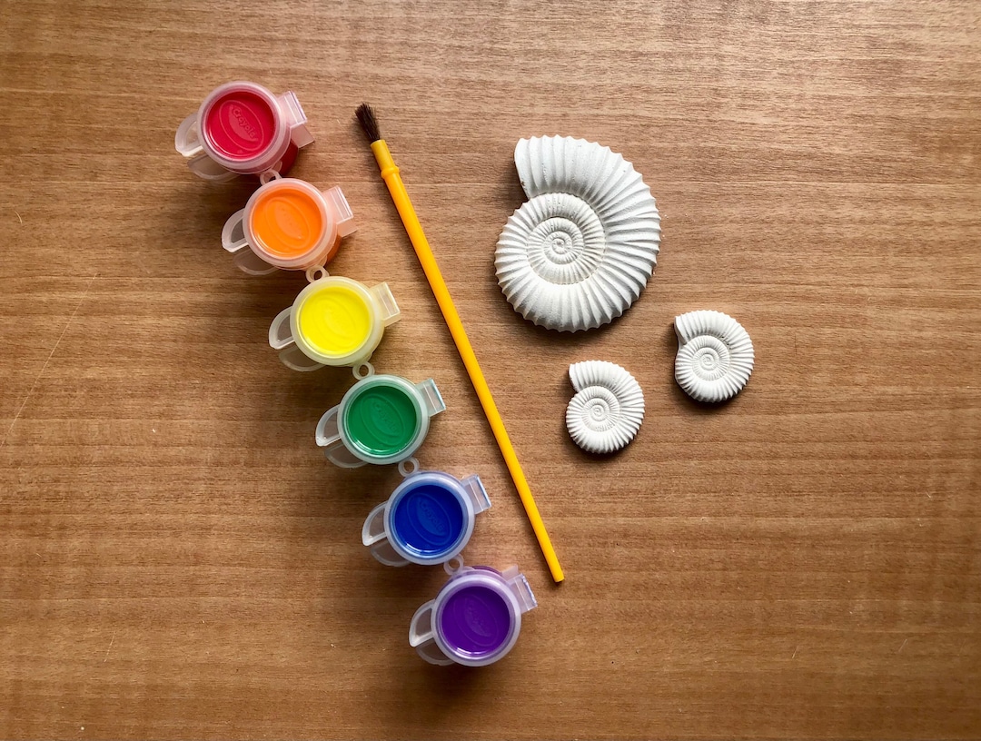 Paint Your Own Ammonite Set - STEM Craft Kit for Kids - Etsy UK