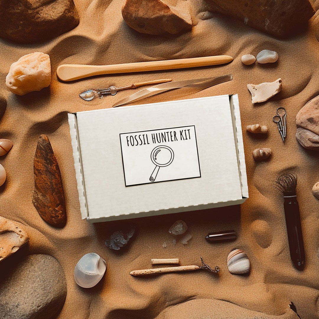 Ultimate Fossil Hunter Kit: Fun Fossil Dig Activity for Kids! - Etsy UK