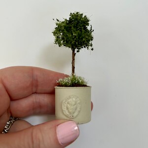 Miniature Topiary Tree - Etsy