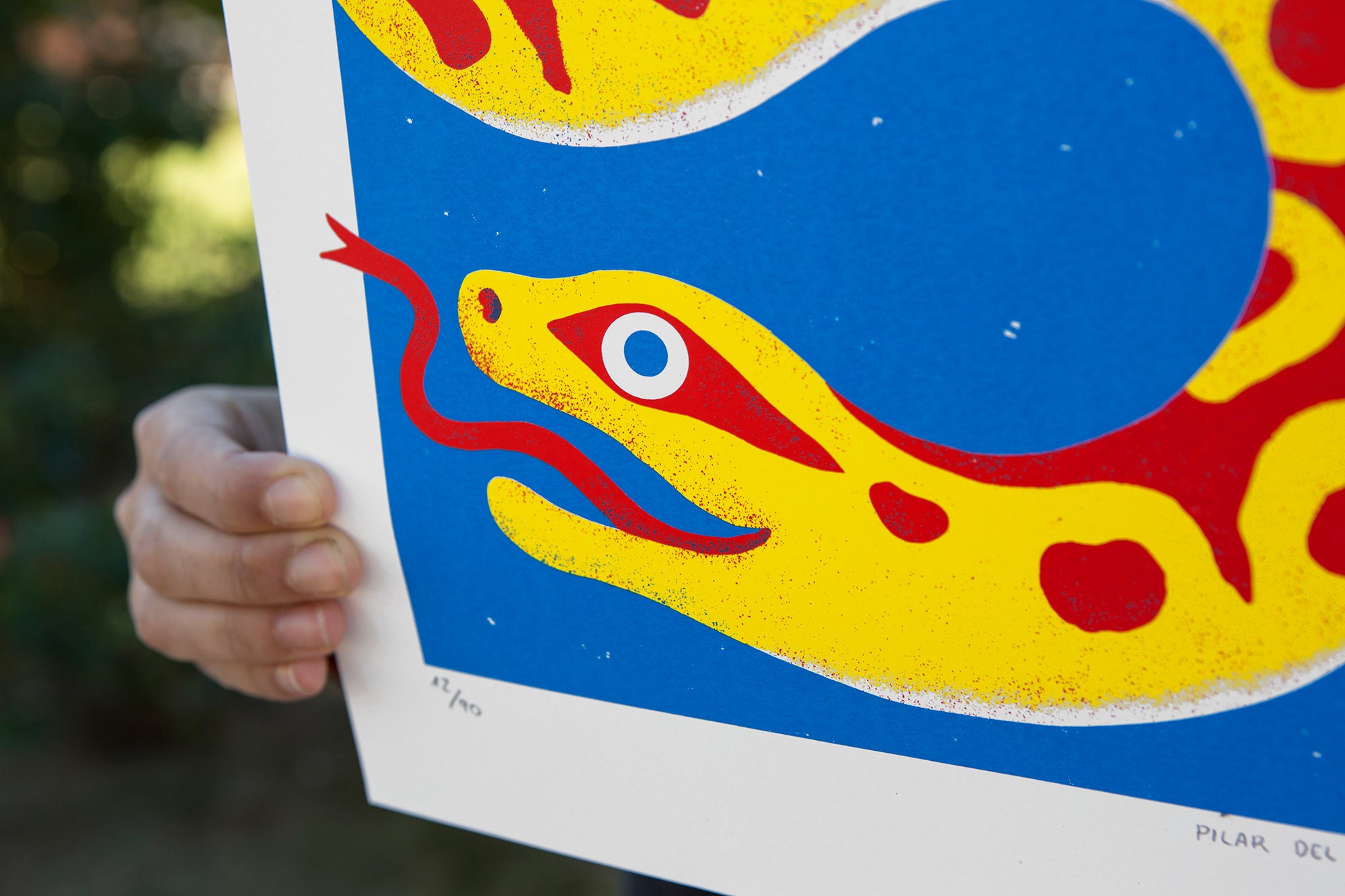 Snake Screenprint, Snake Screenprint Extinct Animal - Etsy