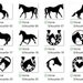 Horse Stall Sign - Etsy