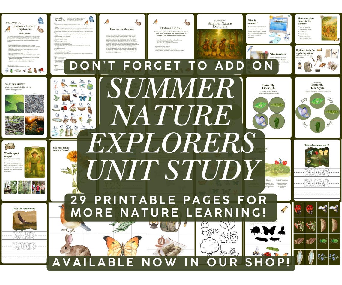 Summer Nature Alphabet Printable | A-Z Nature Letters for Preschool ...