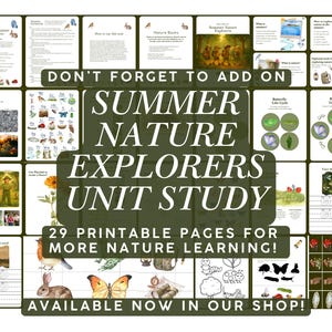 Summer Nature Alphabet Printable | A-Z Nature Letters for Preschool ...