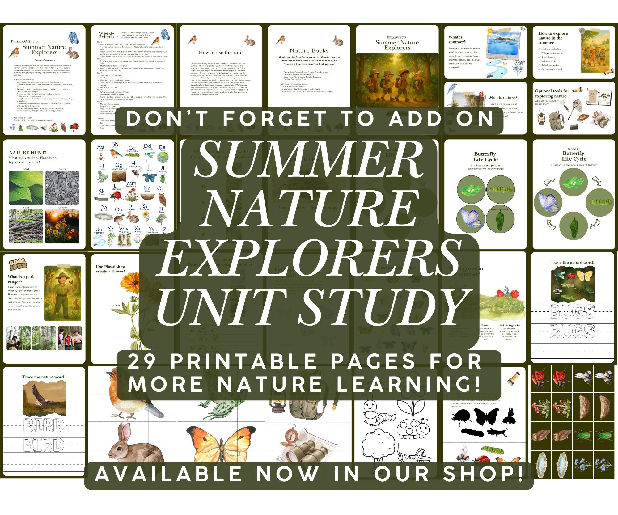 Summer Nature Alphabet Printable | A-Z Nature Letters for Preschool ...