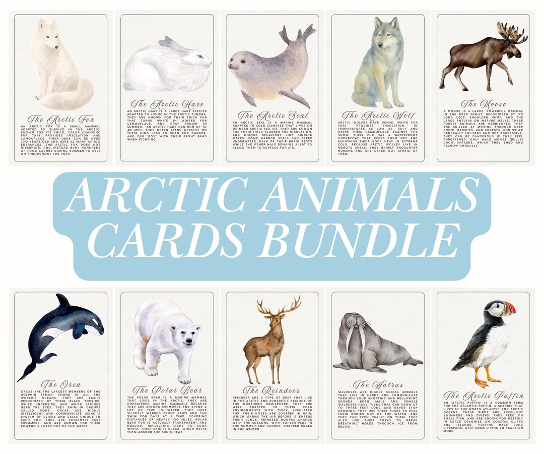 Arctic Animals Flash Cards | Nature Inspired Learning (printable) - Etsy