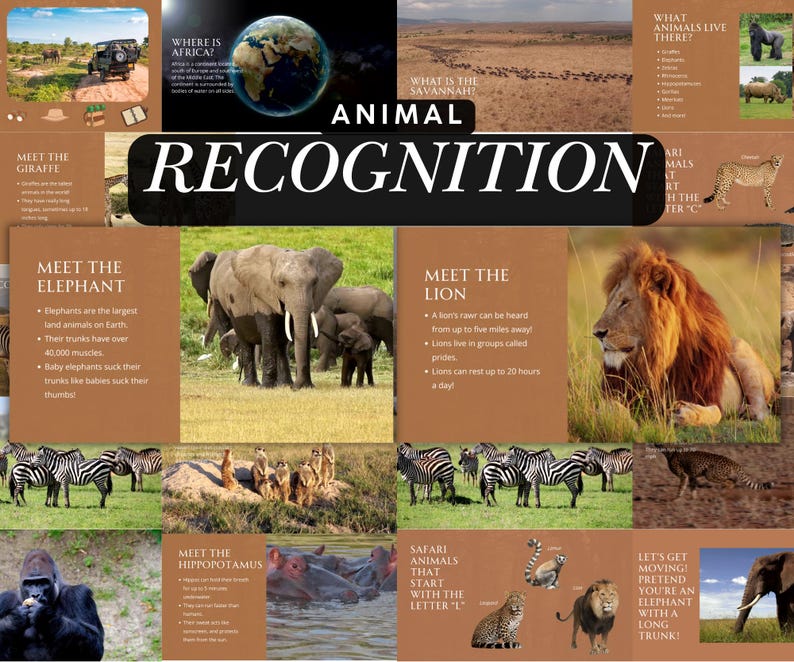 African Safari Animals Interactive Preschool & Kindergarten Powerpoint ...