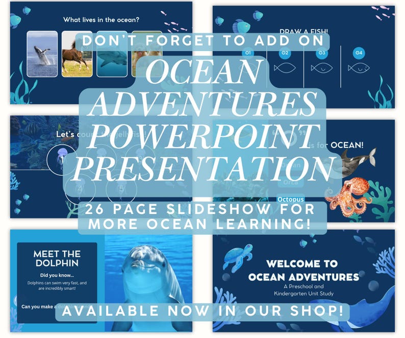 Ocean Adventures Unit Study | A Preschool & Kindergarten Science Course ...