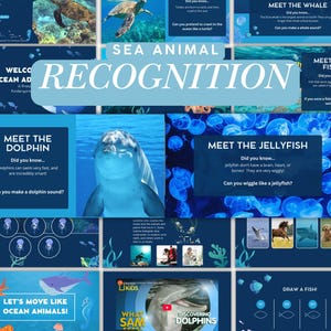Ocean Adventures Interactive Preschool & Kindergarten Powerpoint Lesson ...