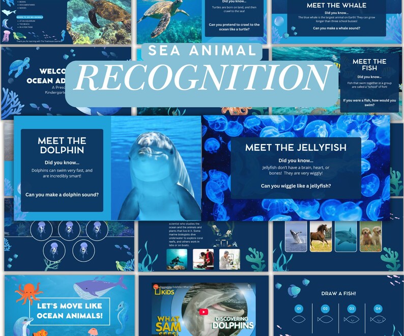 Ocean Adventures Interactive Preschool & Kindergarten Powerpoint Lesson ...