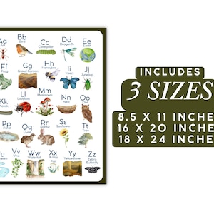 Summer Nature Alphabet Printable | A-Z Nature Letters for Preschool ...