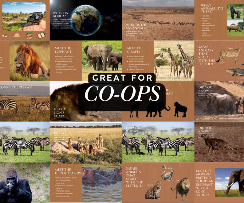 African Safari Animals Interactive Preschool & Kindergarten Powerpoint ...