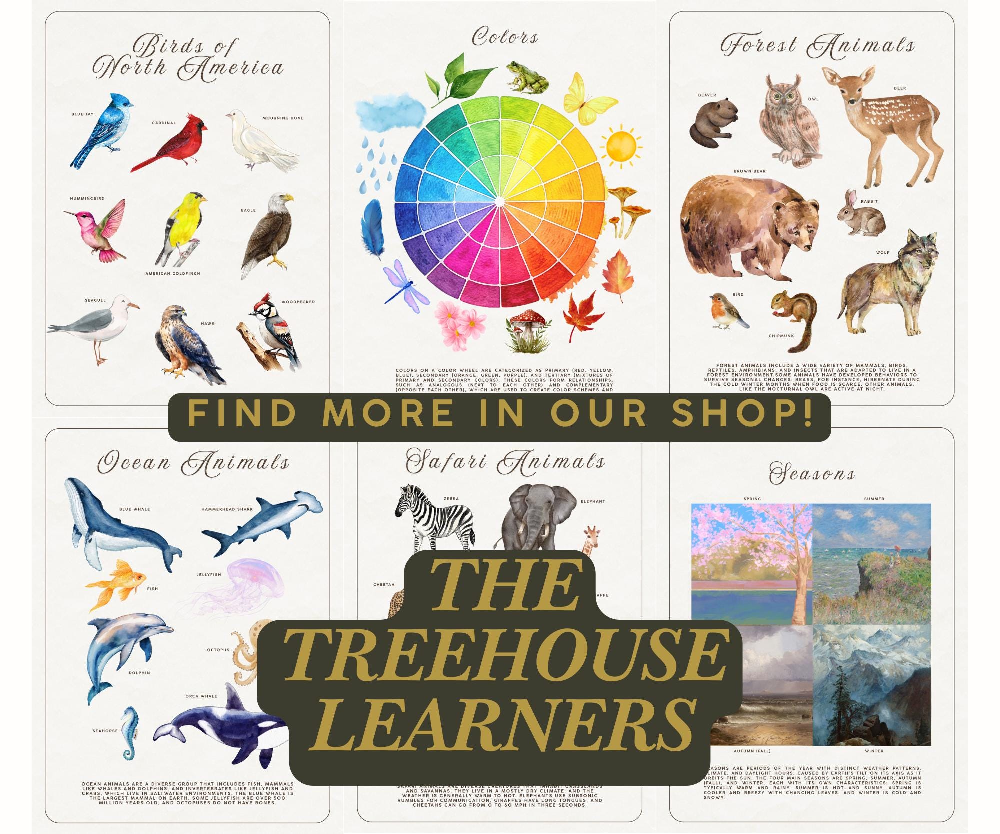Nature Color Wheel Printable Poster | Printable Classroom Decorations ...