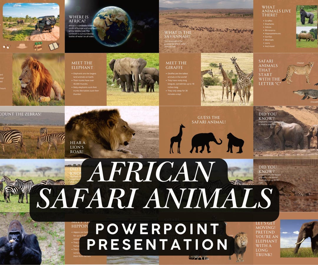 African Safari Animals Interactive Preschool & Kindergarten Powerpoint ...