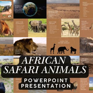 African Safari Animals Interactive Preschool & Kindergarten Powerpoint ...