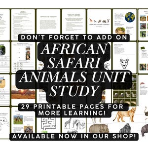 African Safari Animals Interactive Preschool & Kindergarten Powerpoint ...