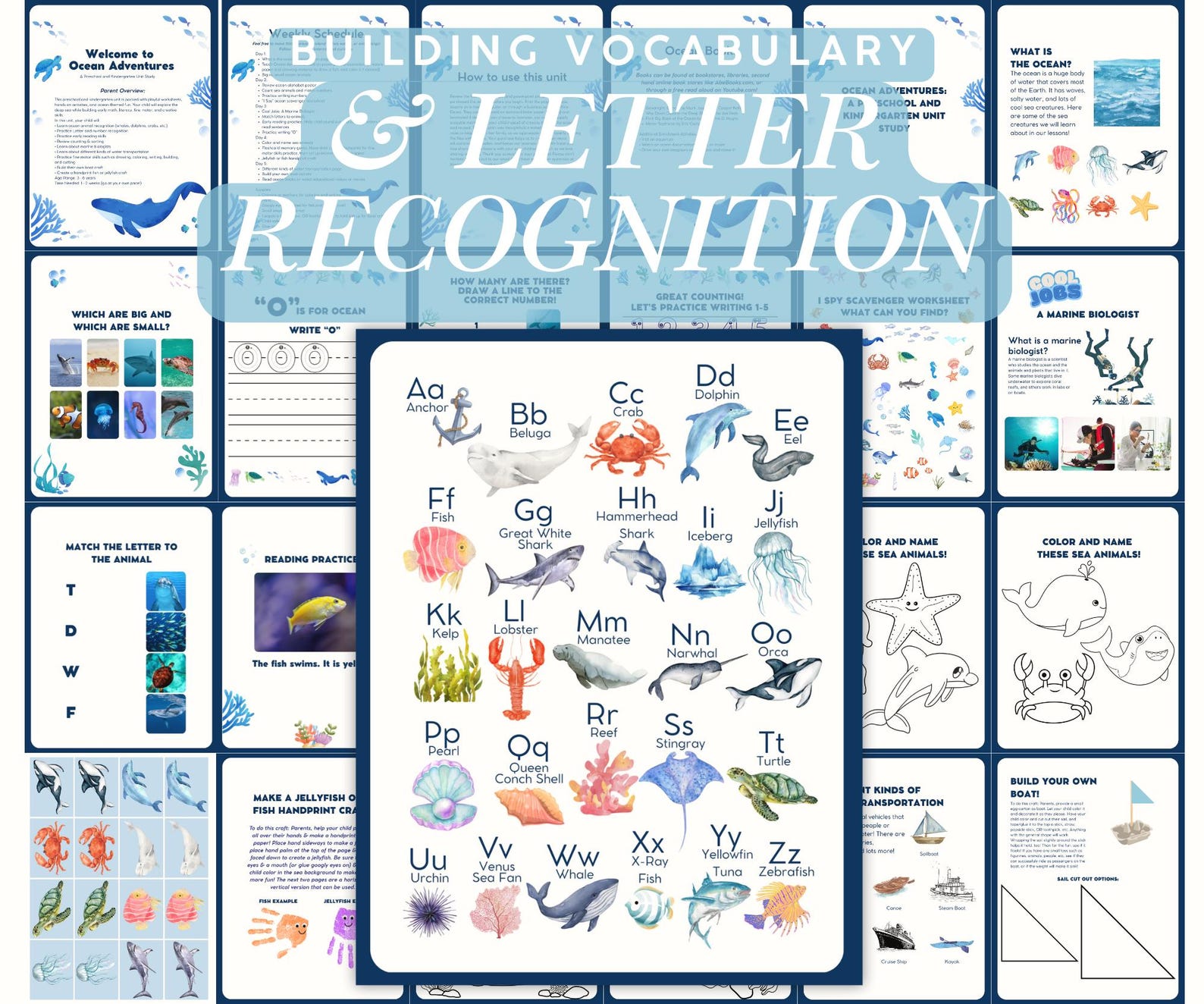Ocean Adventures Unit Study | A Preschool & Kindergarten Science Course ...