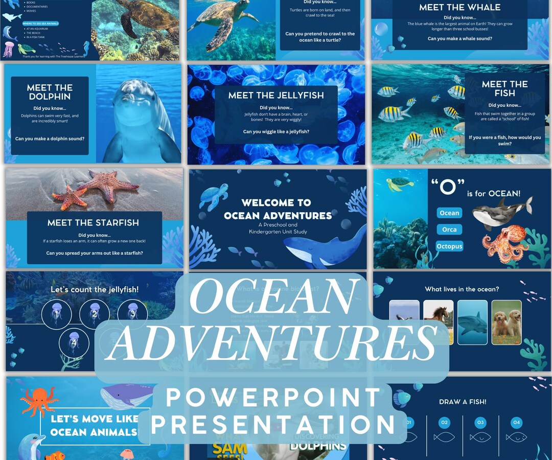 Ocean Adventures Interactive Preschool & Kindergarten Powerpoint Lesson ...