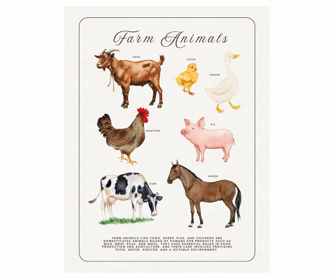 Farm Animals Poster | Nature-inspired Classroom Decor (printable) - Etsy
