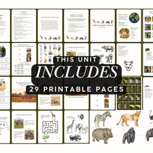 African Safari Animals Unit Study | Early Learning Unit for Preschool ...