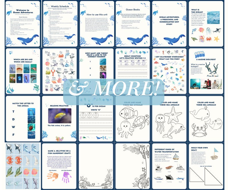 Ocean Adventures Unit Study | A Preschool & Kindergarten Science Course ...