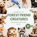Forest Friend Woodland Creatures Clipart Pack, Watercolor Forest ...