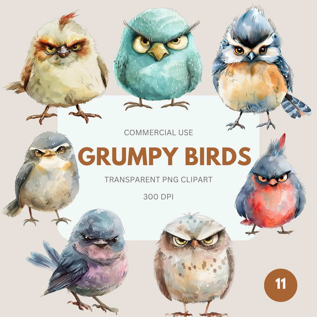 Grumpy Birds Clipart, Watercolor Angry Birds, Cute Fluffy Birds, Grumpy ...